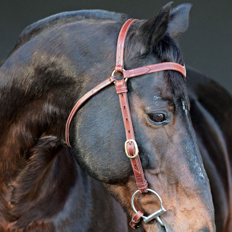 Leather Bridles | Quality Australian Made Bridles - Angus Barrett Saddlery
