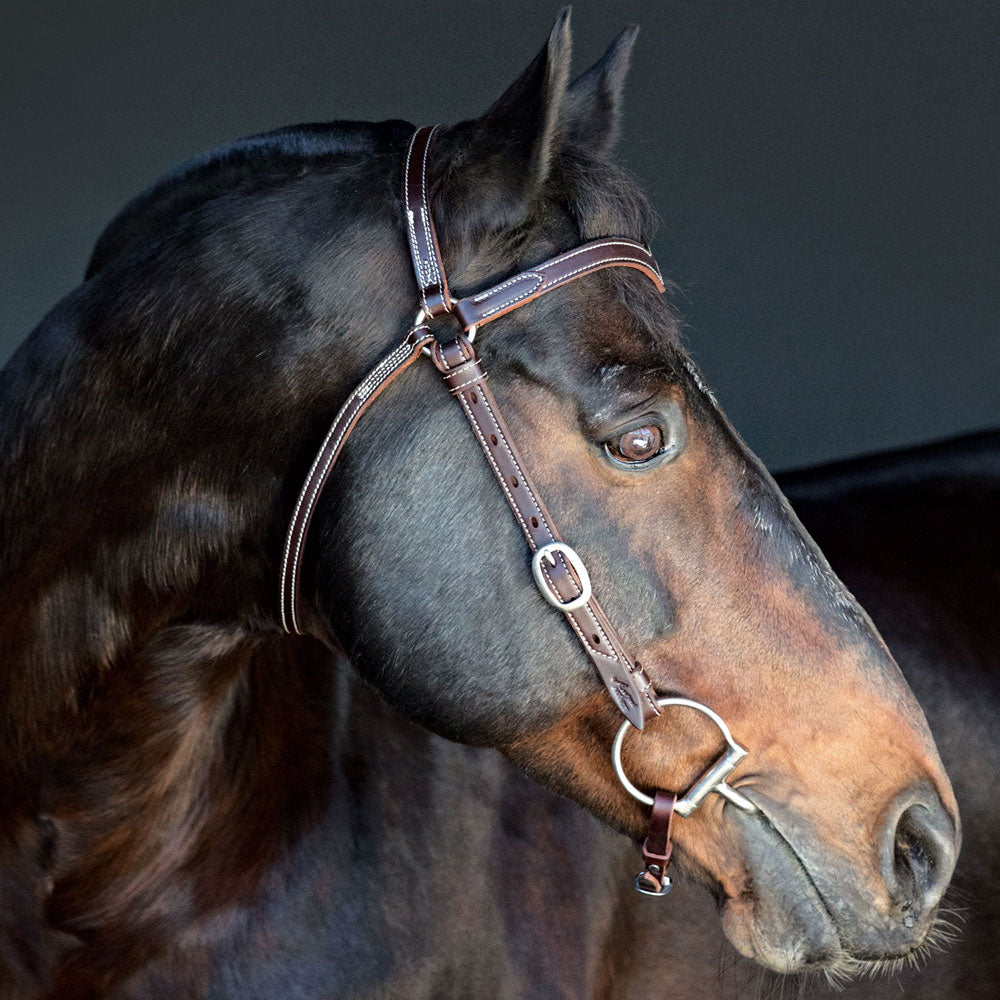 Angus Barrett Saddlery & Leather Goods | Australian Made