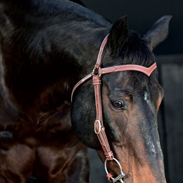 Leather Bridles | Quality Australian Made Bridles - Angus Barrett Saddlery