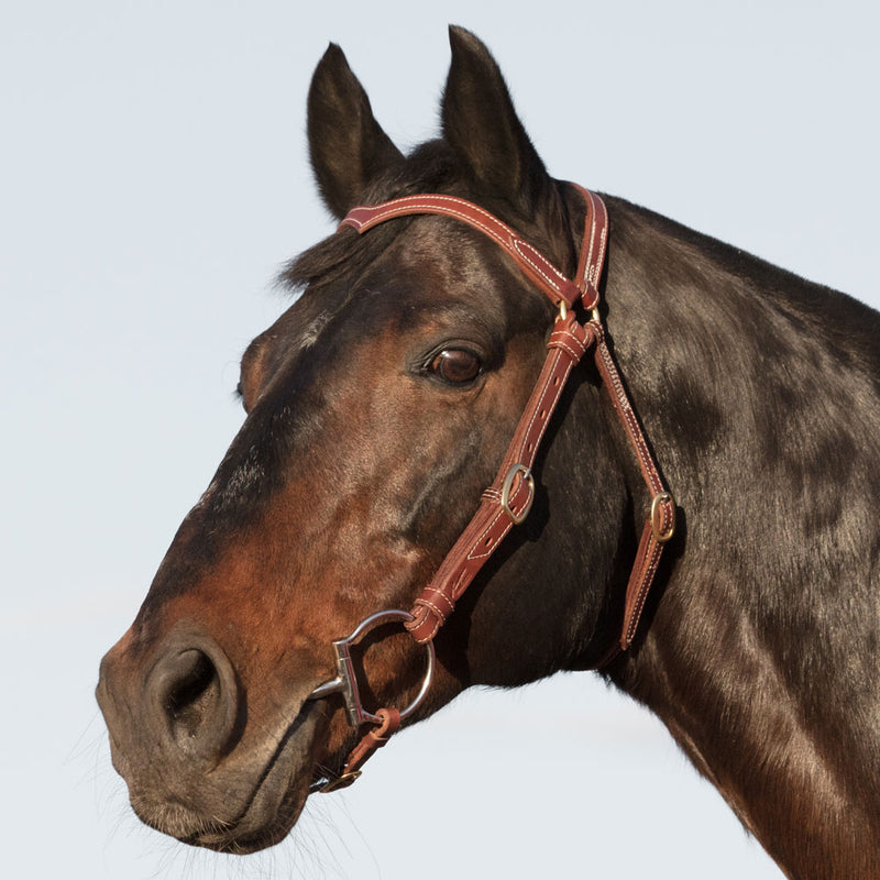 Leather Bridles | Quality Australian Made Bridles - Angus Barrett Saddlery