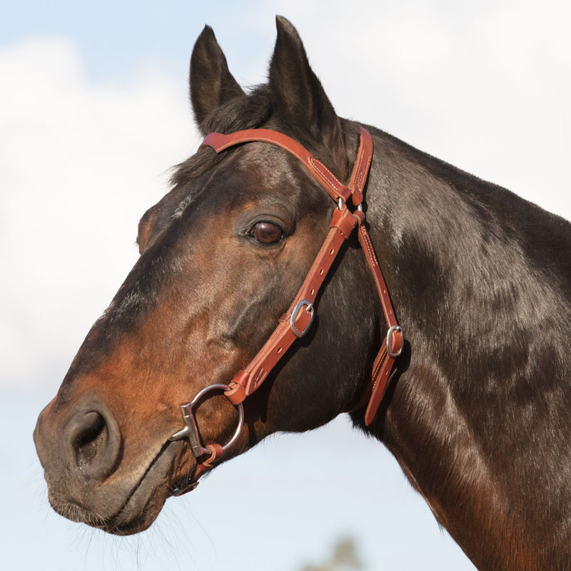 Leather Bridles | Quality Australian Made Bridles - Angus Barrett Saddlery