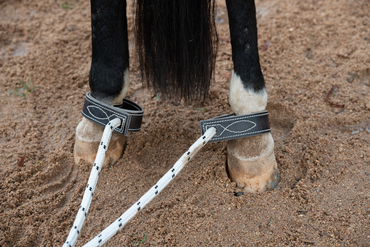 Serving Hobbles | Buy Australian Made Breeding Hobbles Online - Angus ...