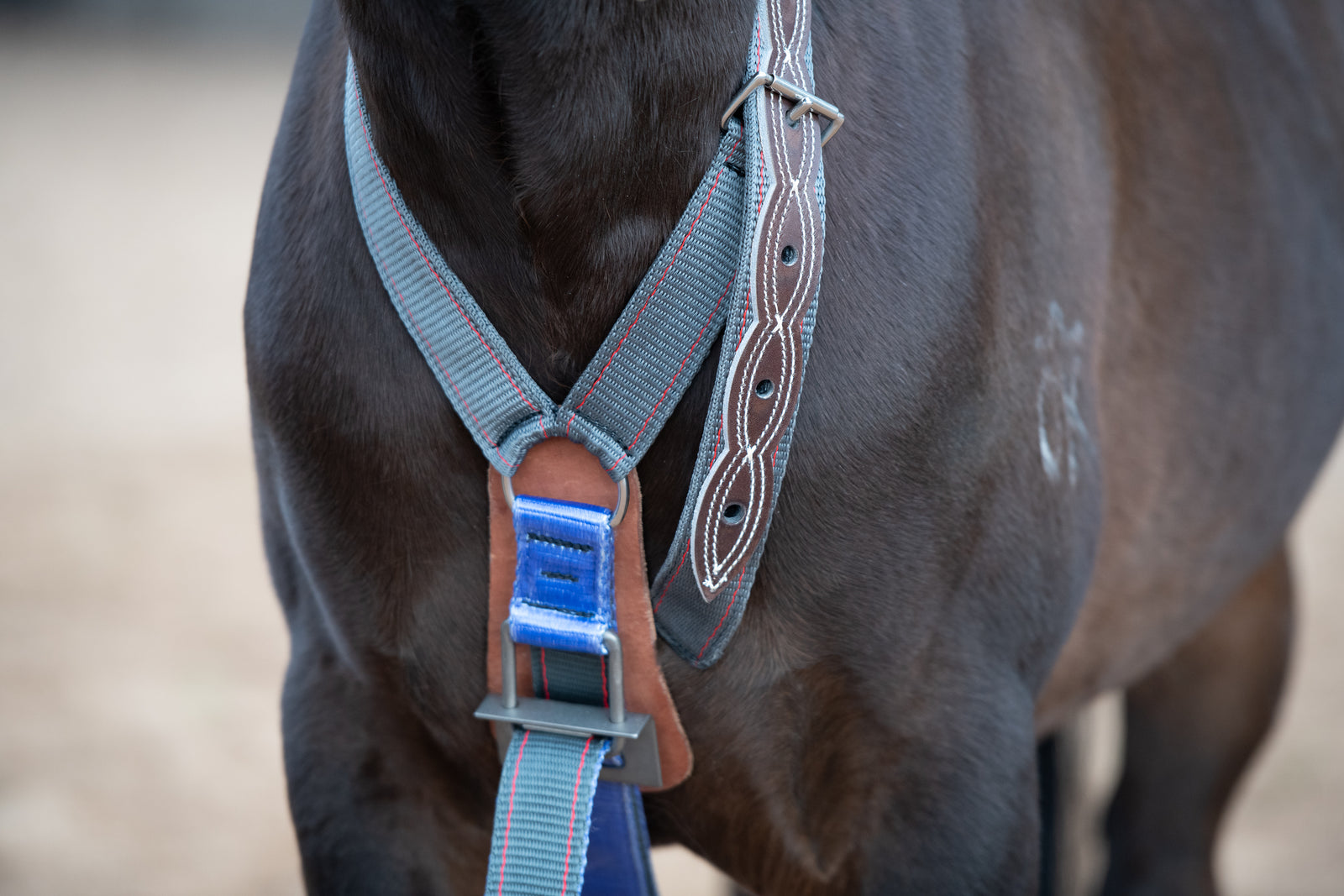 Serving Hobbles | Buy Australian Made Breeding Hobbles Online - Angus ...