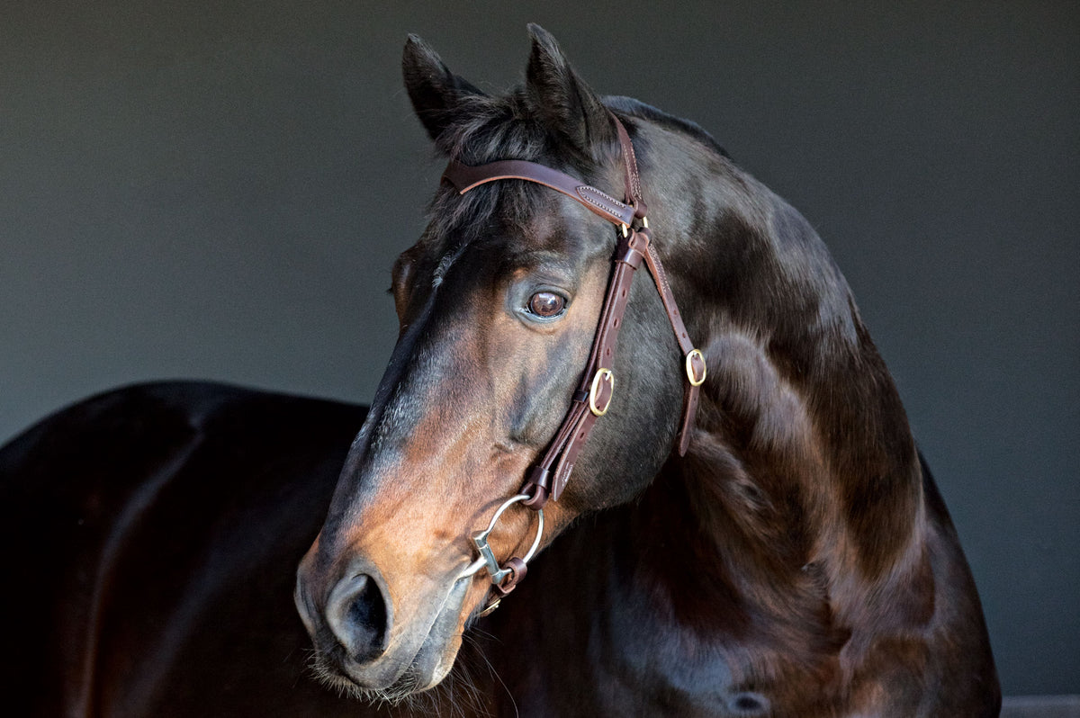 Angus Barrett Saddlery & Leather Goods | Australian Made