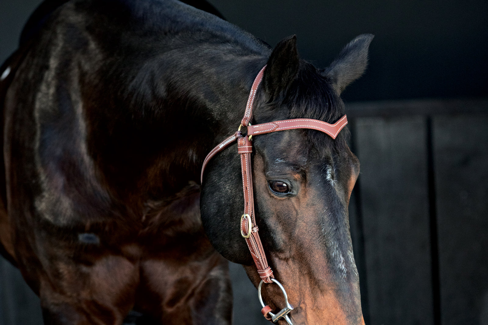 Station Bridle with Fully Stitched V-Shaped Brow | Bridles Online ...