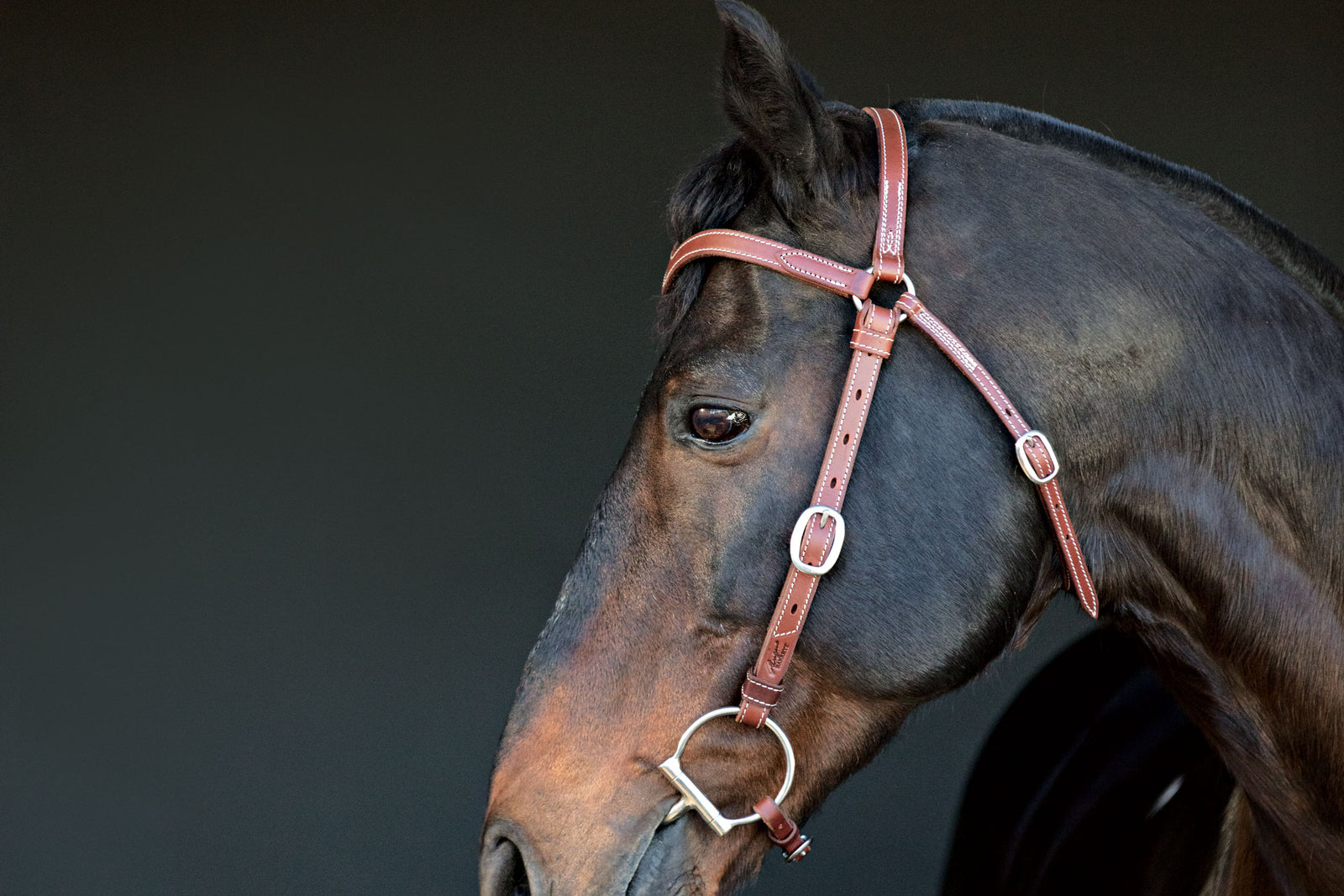 Station Bridle with Fully Stitched V-Shaped Brow | Bridles Online ...