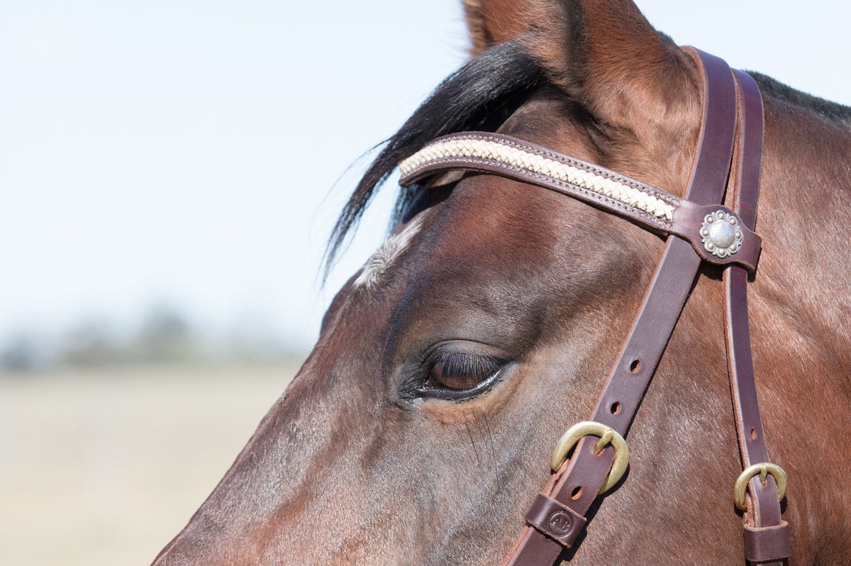 Tassa Bridle with Braided Brow Band | Sure Fit Bridles - Angus Barrett ...